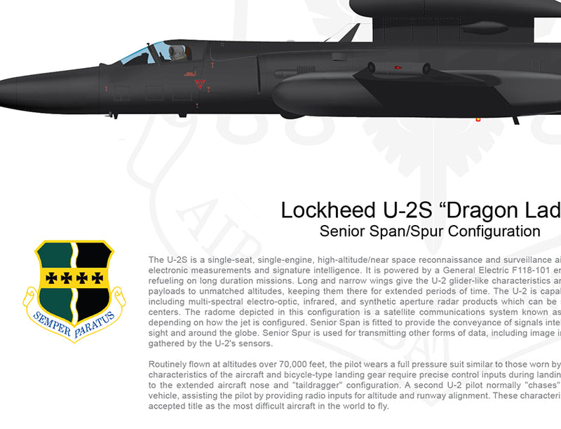 BEALE 9TH RW Lockheed U-2 "Dragon Lady" Senior Span/Spur Configuration ...